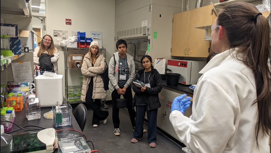 Creating a Research Community: Georgia Tech Hosts Conference for Undergraduate Women in Physics ...