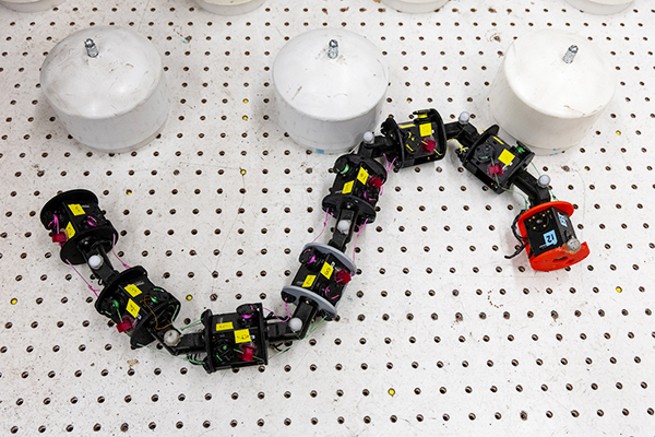 Worms Inspire Wiggly Robots That Navigate All Landscapes | College of ...